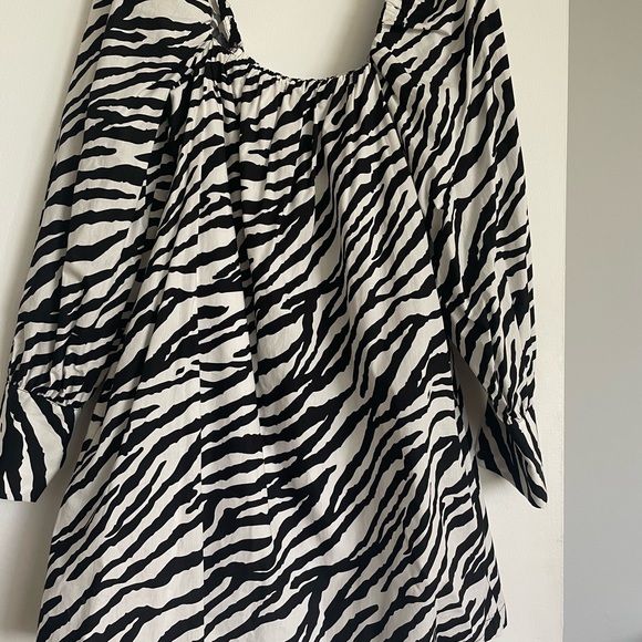 Zara | Dresses | Beautiful Zebra Print Zara Mini Dress Never Worn ...